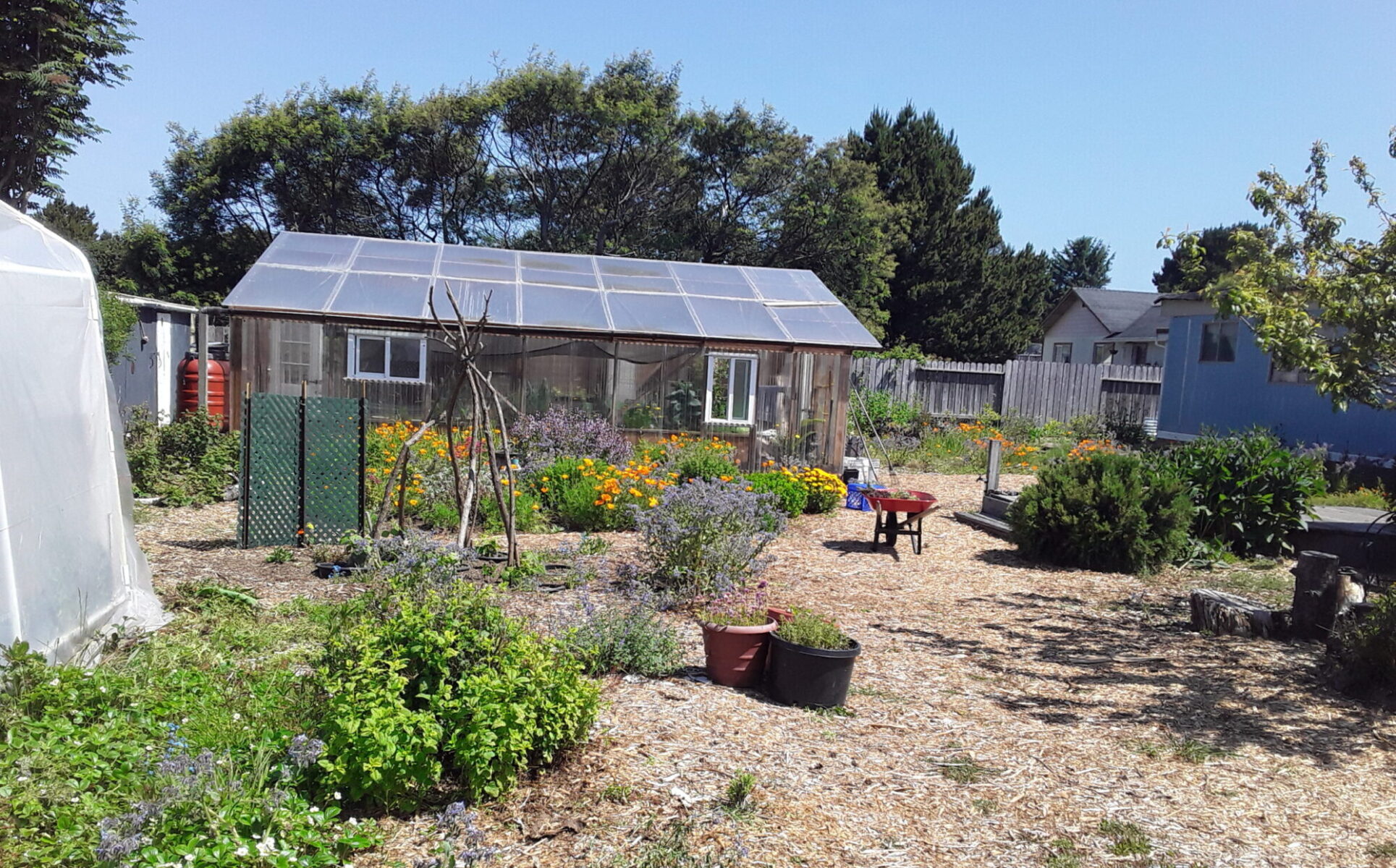 Urban suburban village bush – Adventures in Permaculture